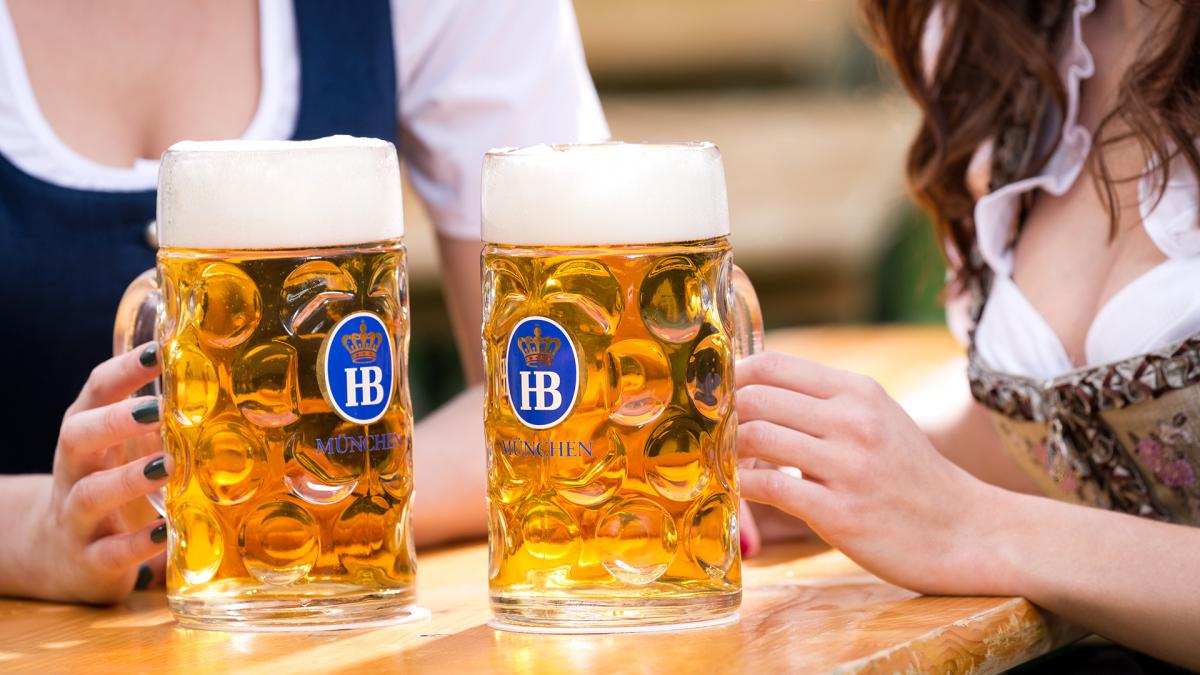 Hofbräu am Steinertor | Bier Guide